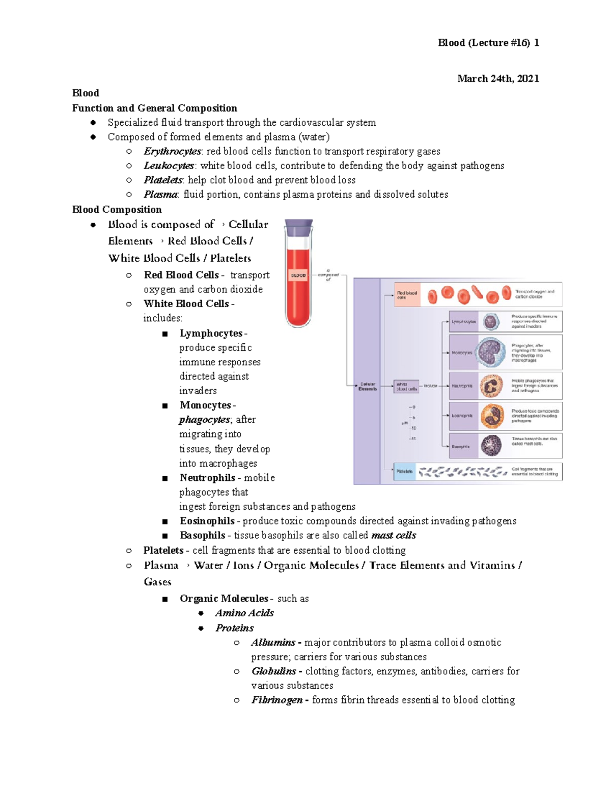 BIOL 2040-01 Blood - March 24th, 2021 Blood Function and General ...