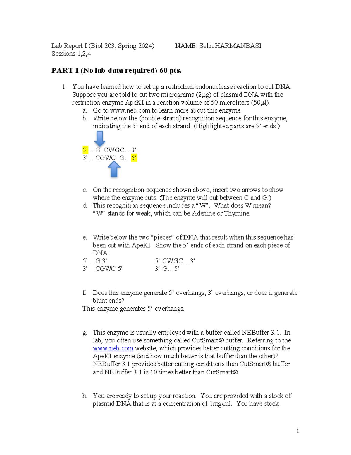 Report I-template-Spring 2024 - Lab Report I (Biol 203, Spring 2024 ...