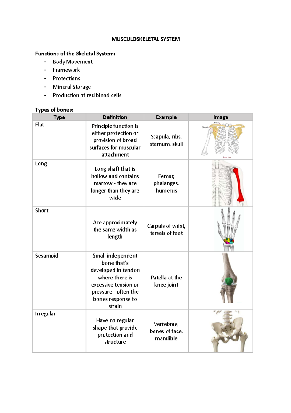 Unit 1 AOS 1 Pe Notes - MUSCULOSKELETAL SYSTEM Functions of the ...