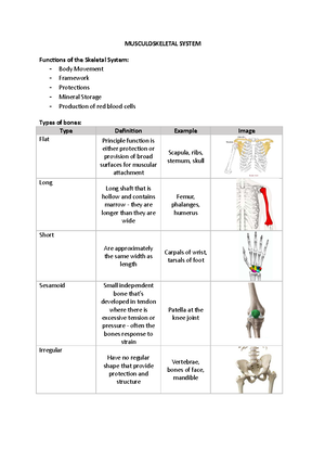 PE UNIT 1 - PE Unit 1 notes!! - PHYSICAL EDUCATION UNIT 1 NOTES ...