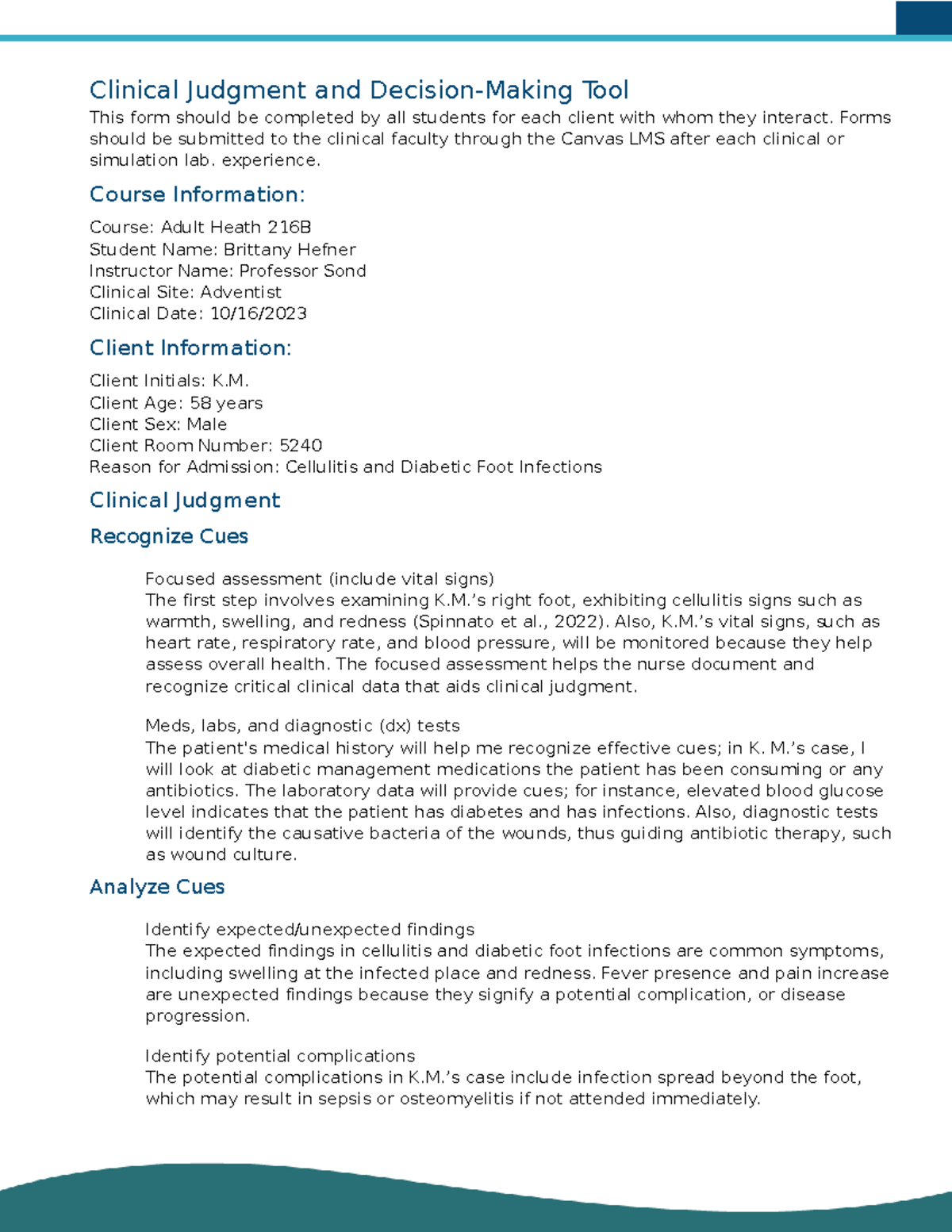 Care plan 2 - N/A - Clinical Judgment and Decision-Making Tool This ...
