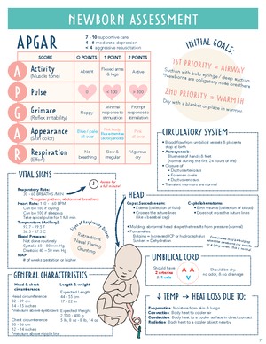 Labor and Delivery - Stages of labor and nursing management Premonitory ...