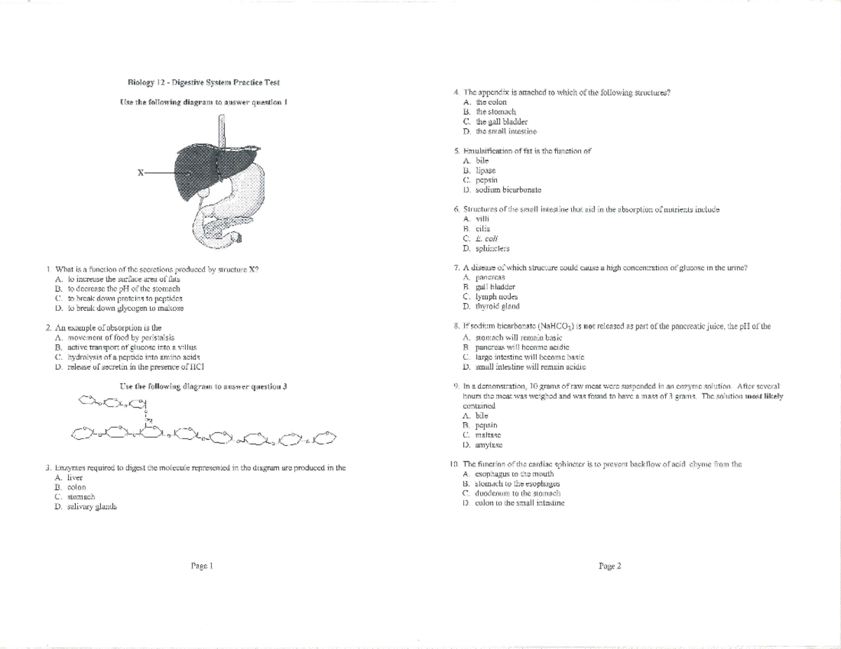 Digestive System Practice Test 2doorzf 2 - Biology 12 Digestive System ...