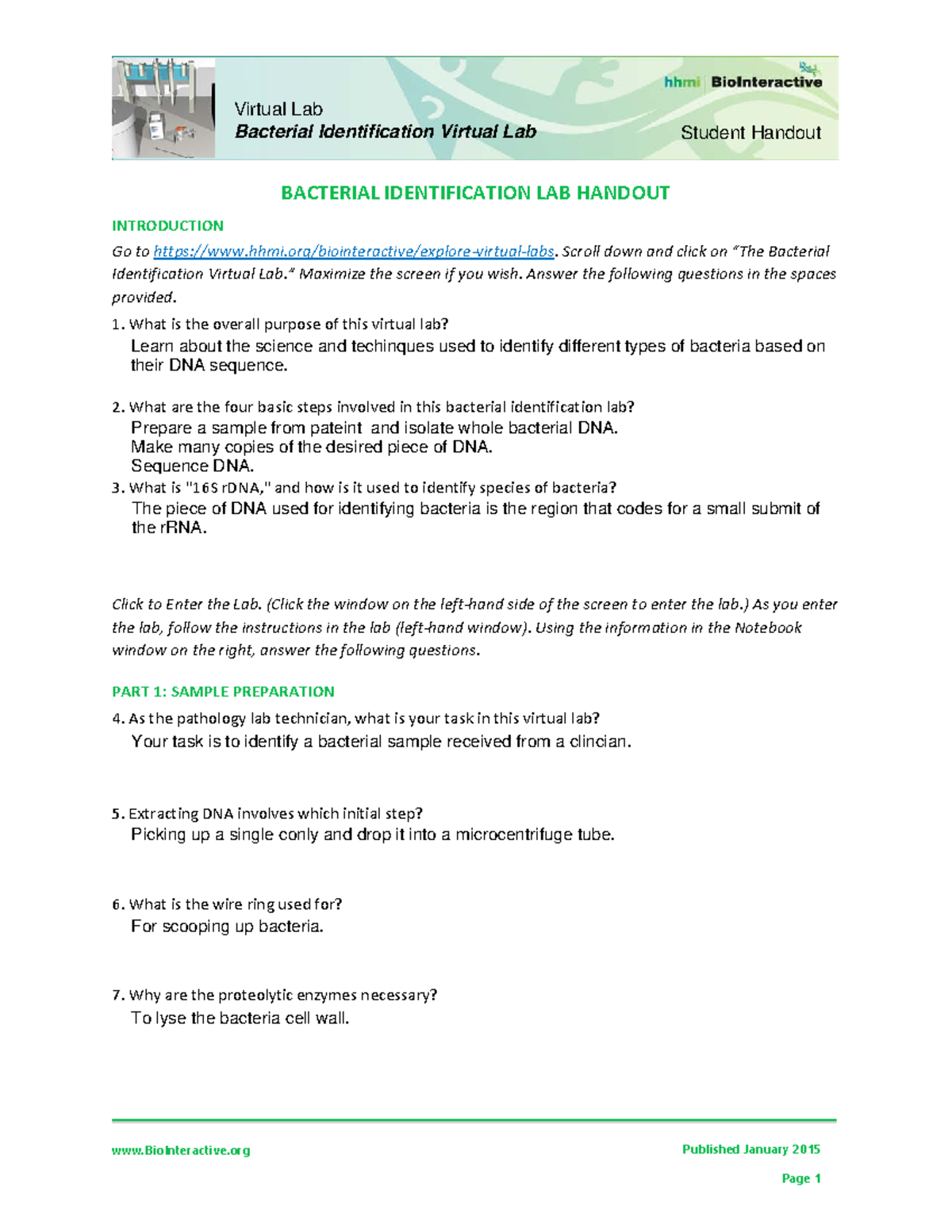 Bacterial Identification Lab Worksheet Student - BioInteractive ...
