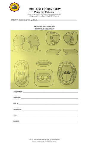 Phases of the Tooth Handout - Pre- eruptive phase(Preparatory stage) 1 ...