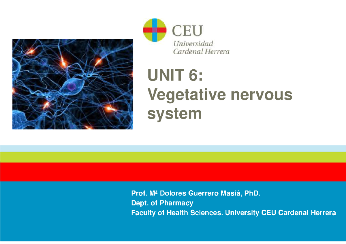 Vegetative nervous system - UNIT 6:Vegetative nervoussystem Prof. Mª ...