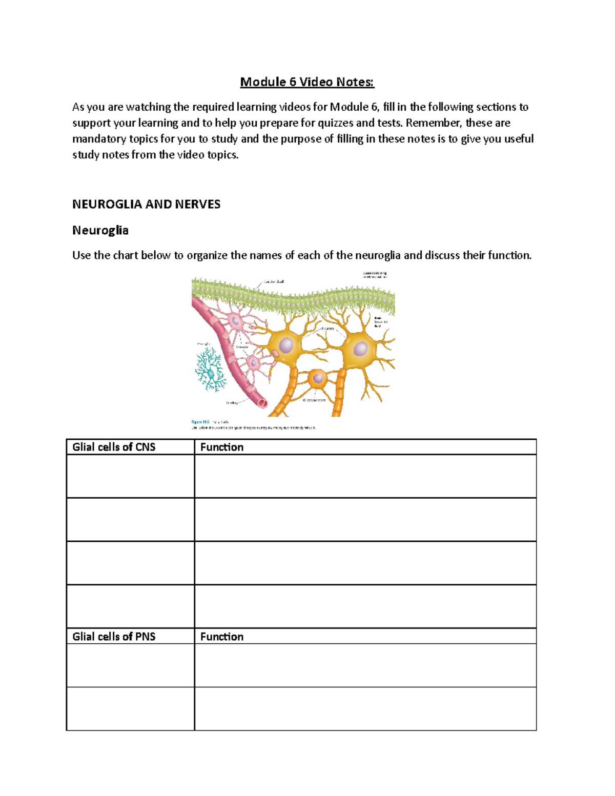 Module 6 Video notes - Module 6 Video Notes: As you are watching the ...