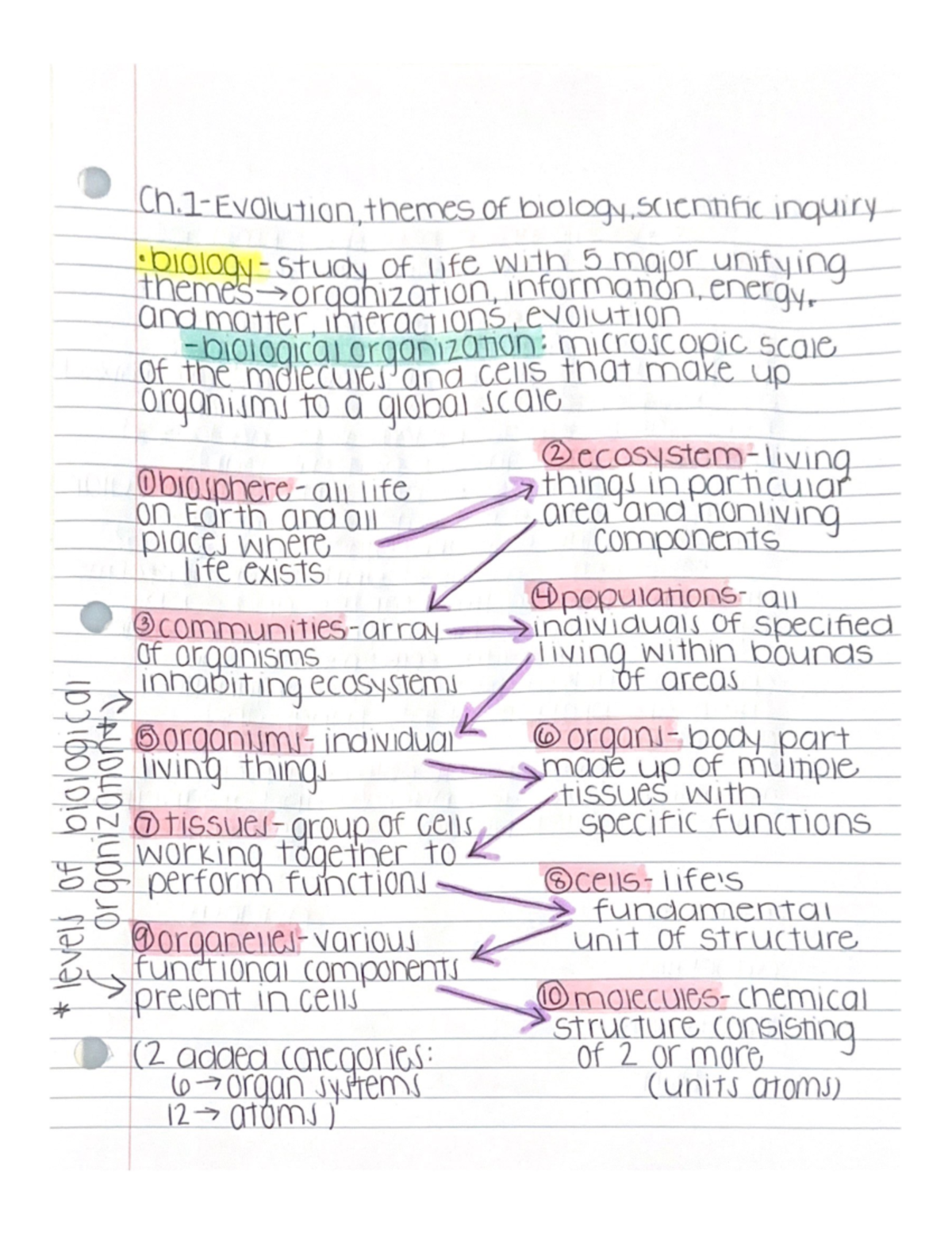 Ch.1- Evolution, Themes of Biology, Scientific Inquiry - BSC 2010C ...