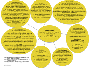 Concept Map Care Plan Example - NAME Implementation Provide elevation ...