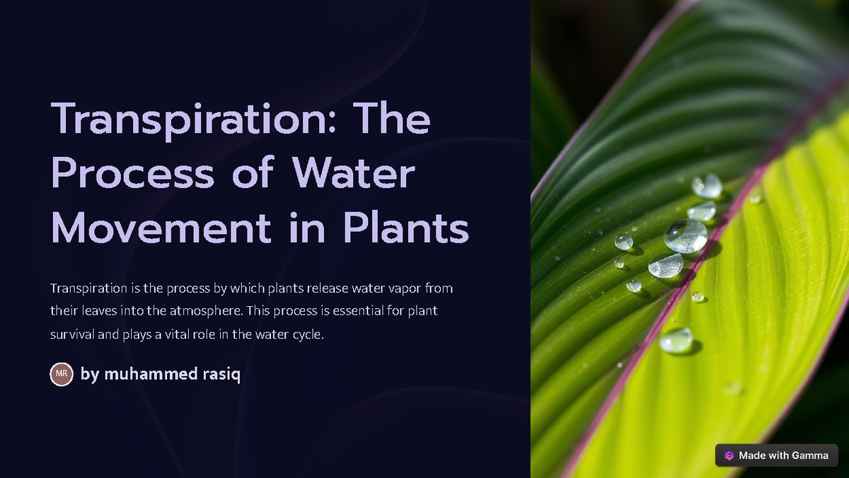 Transpiration The Process of Water Movement in Plants - Transpiration ...