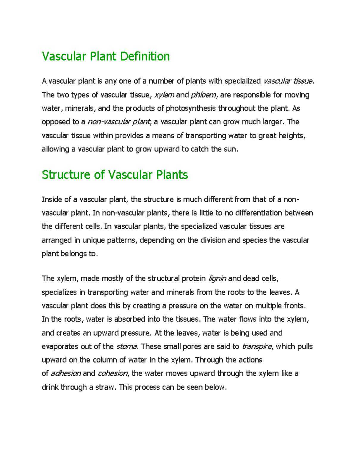 Vascular Plant Definition - The two types of vascular tissue, xylem and ...