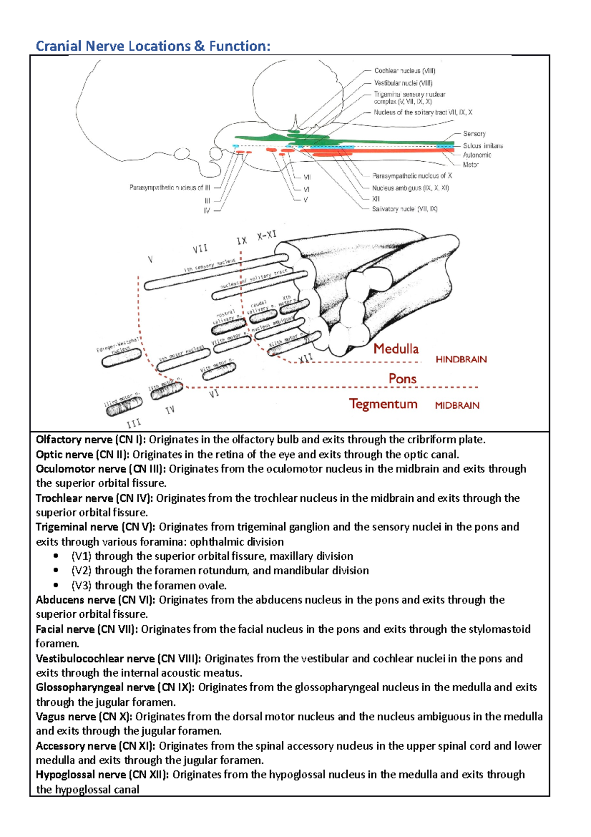 Cranial Nerve Locations, functions & cases - Cranial Nerve Locations ...
