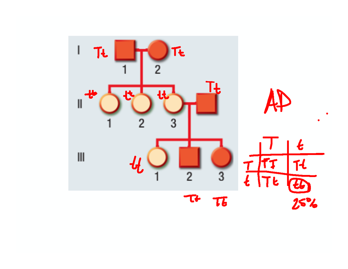 Introduction to Evolution - Studocu