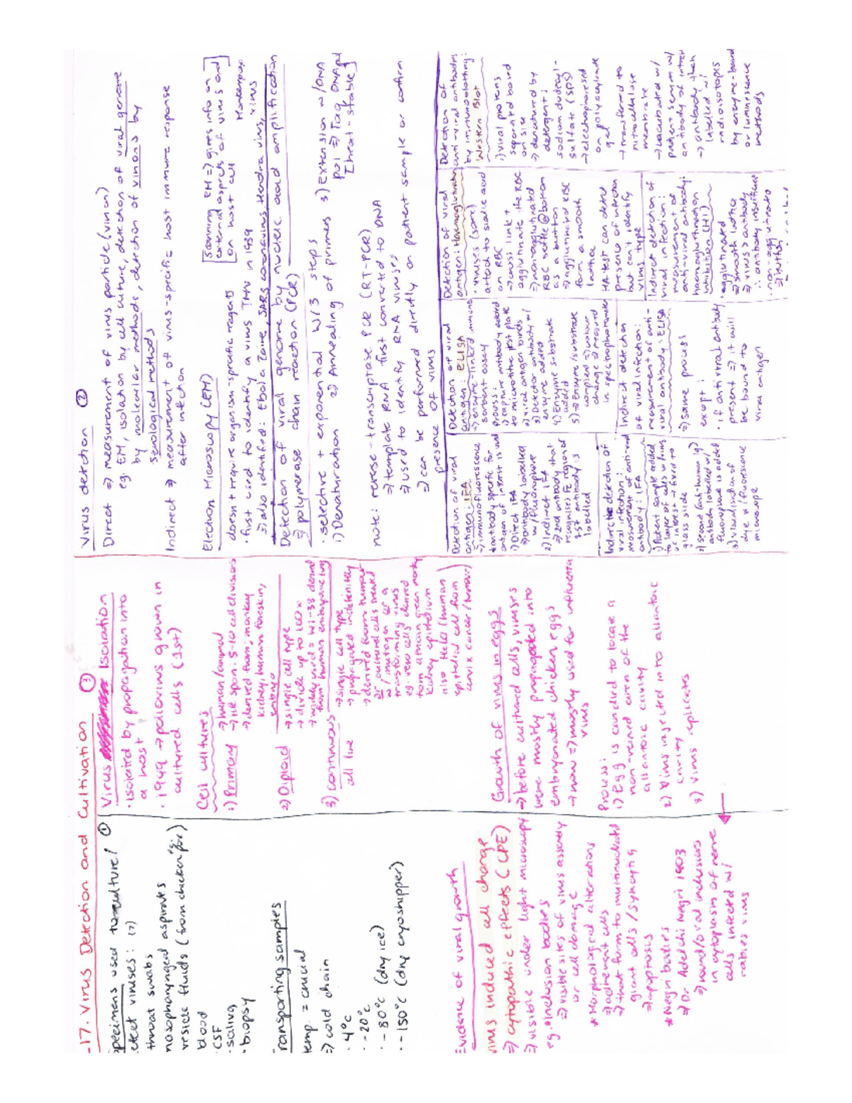 L17 - Virus Detection and Cultivation - tsJ. (N s r . EE: .. snags .M ...