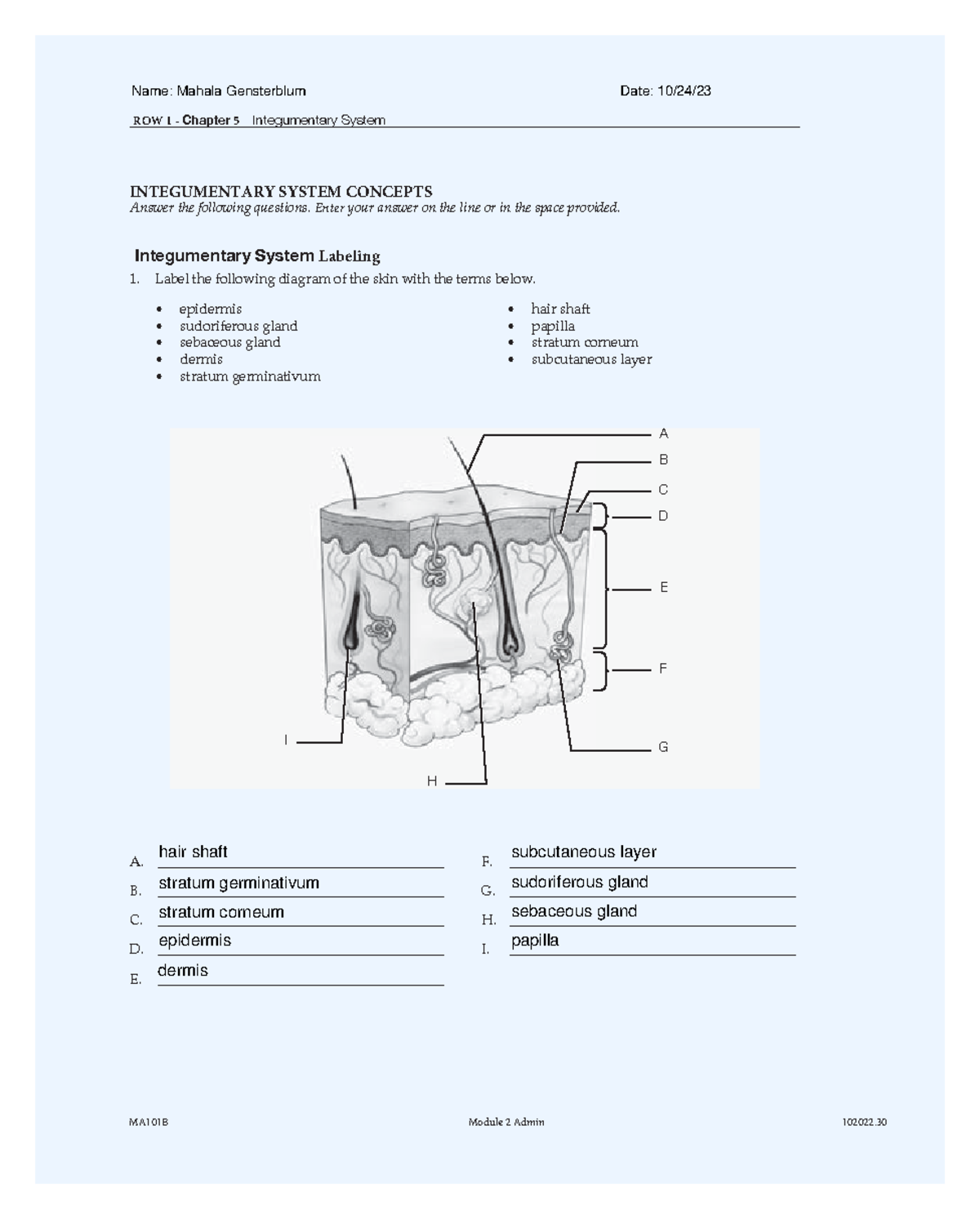 MA101 B ROW 1 Chapter 5 - row - ROW 1 - Chapter 5 Integumentary System INTEGUMENTARY SYSTEM ...