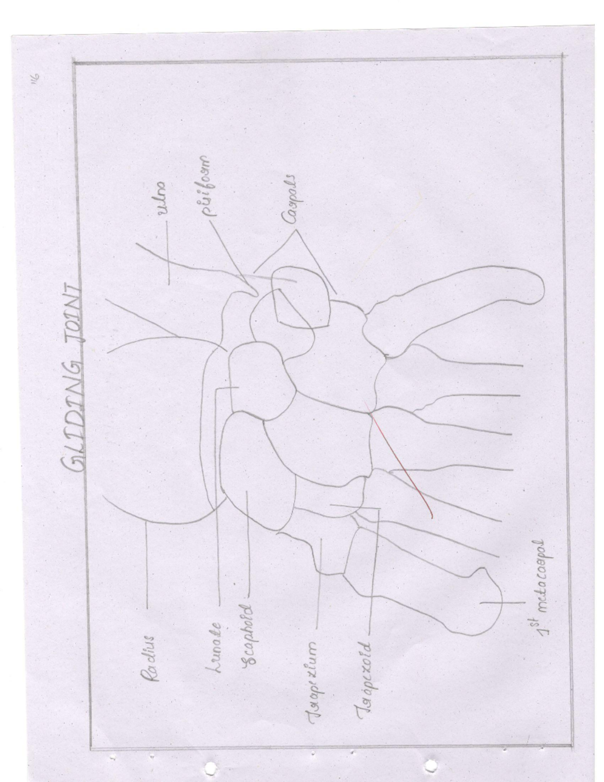 Gliding Joint Diagram AND Matter - Mathematics and science - 116 ...