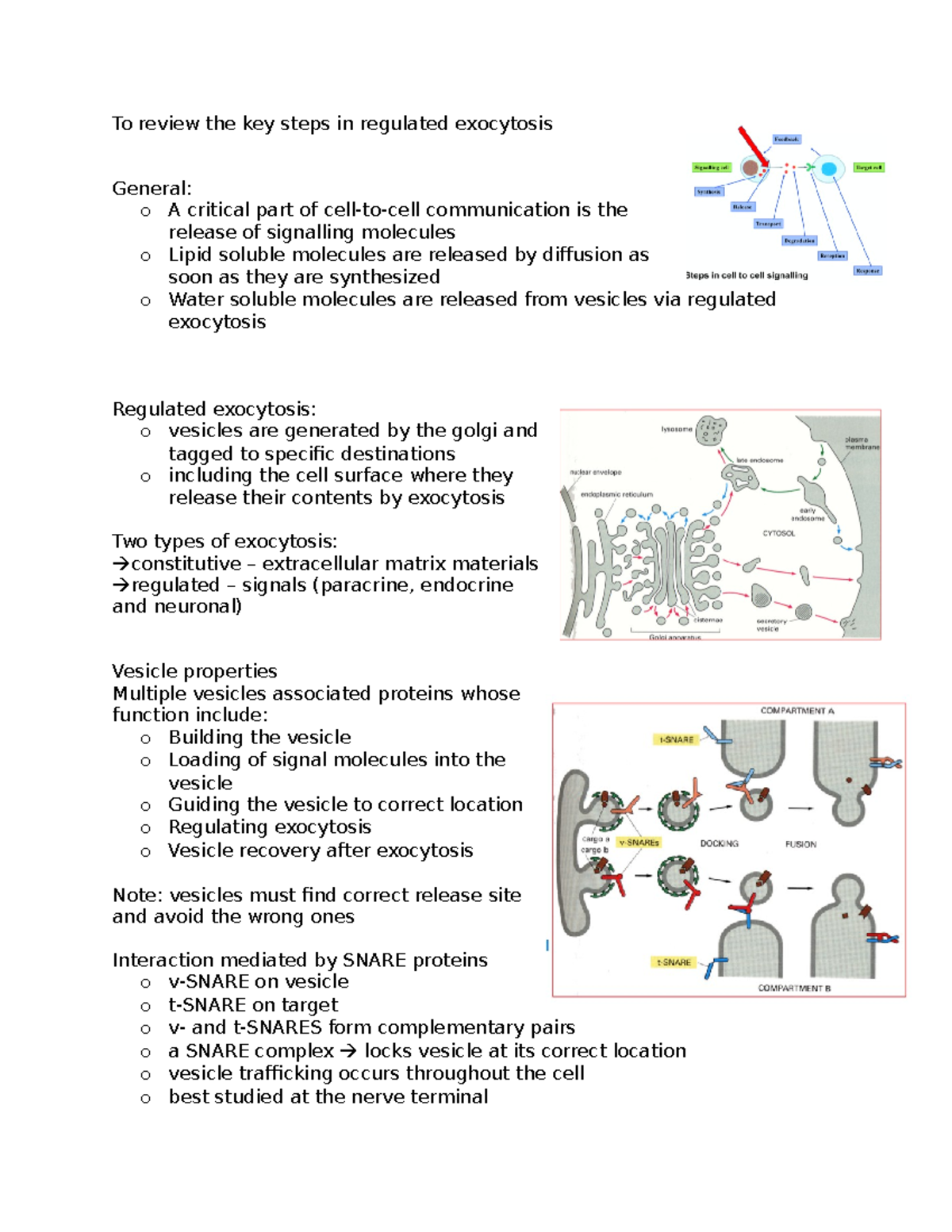 ANAT241 - L7 Regulation of rapid cellular events (regulated exocytosis ...