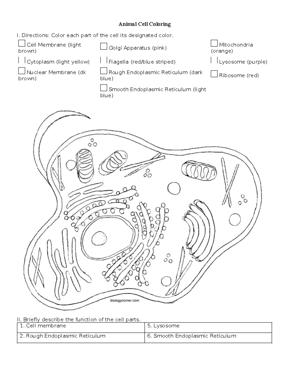 Eukaryotic Cell Colouring Activity - Animal Cell Coloring I. Directions ...