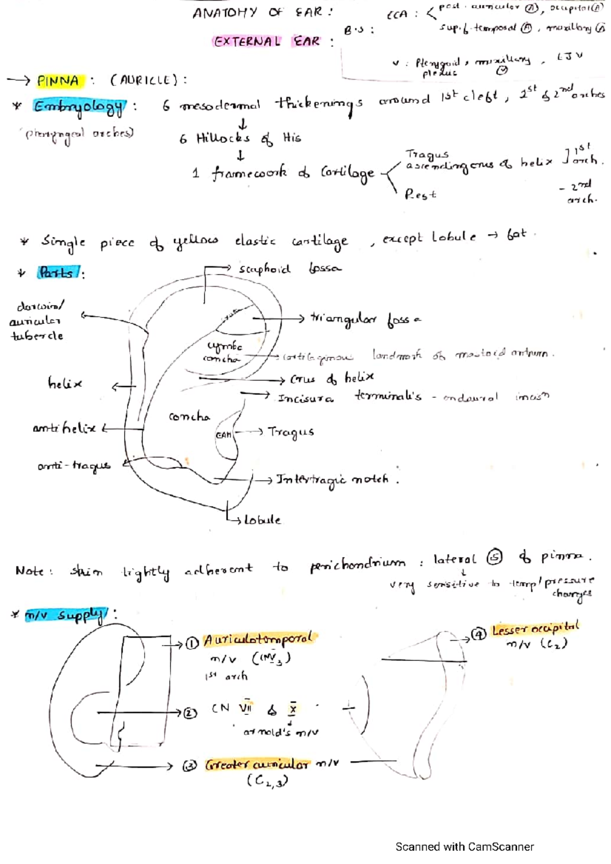 EAR Notes (3rd year MBBS) - Otorhinolaryngology - Studocu