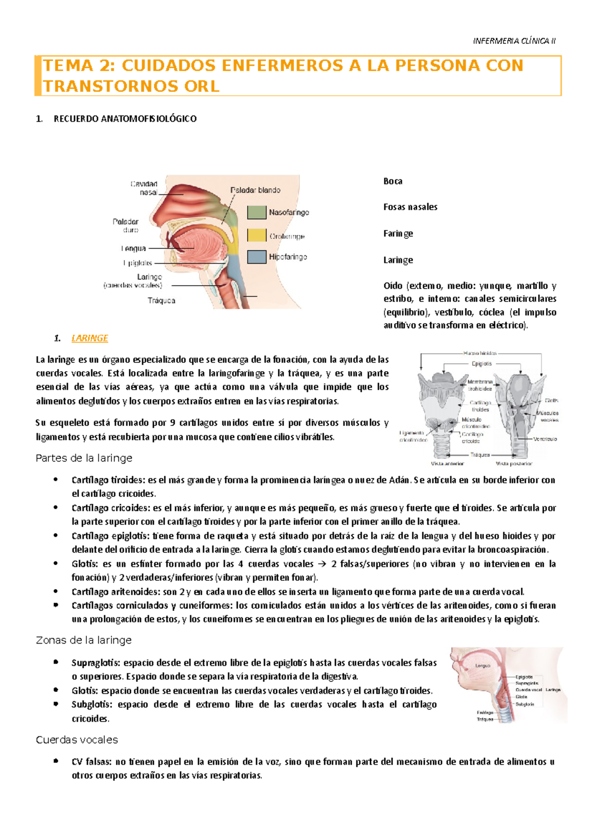 Tema 2 otorrino - Tema 2: Cuidados enfermeros a la persona con trastornos ORL - TEMA 2: CUIDADOS ...