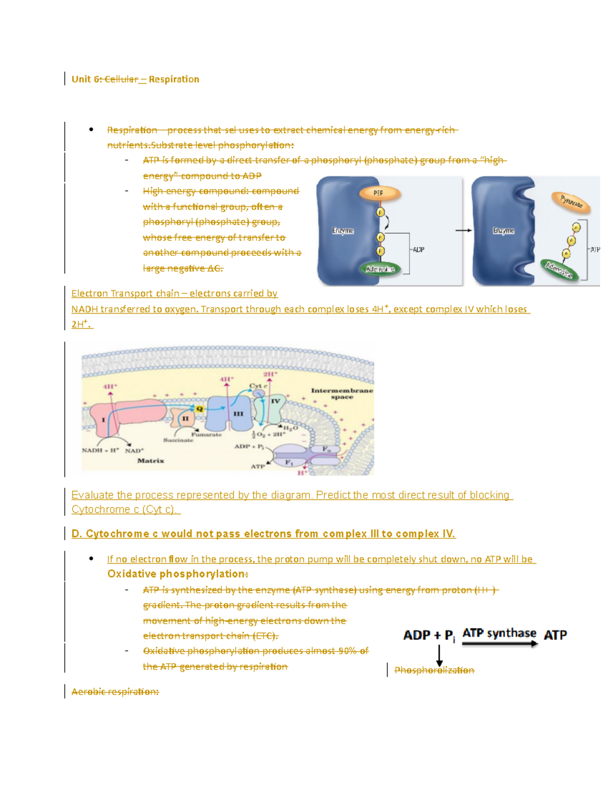 Unit 6 Notes - Semester Test 2 - Unit 6: Cellular – Respiration ...
