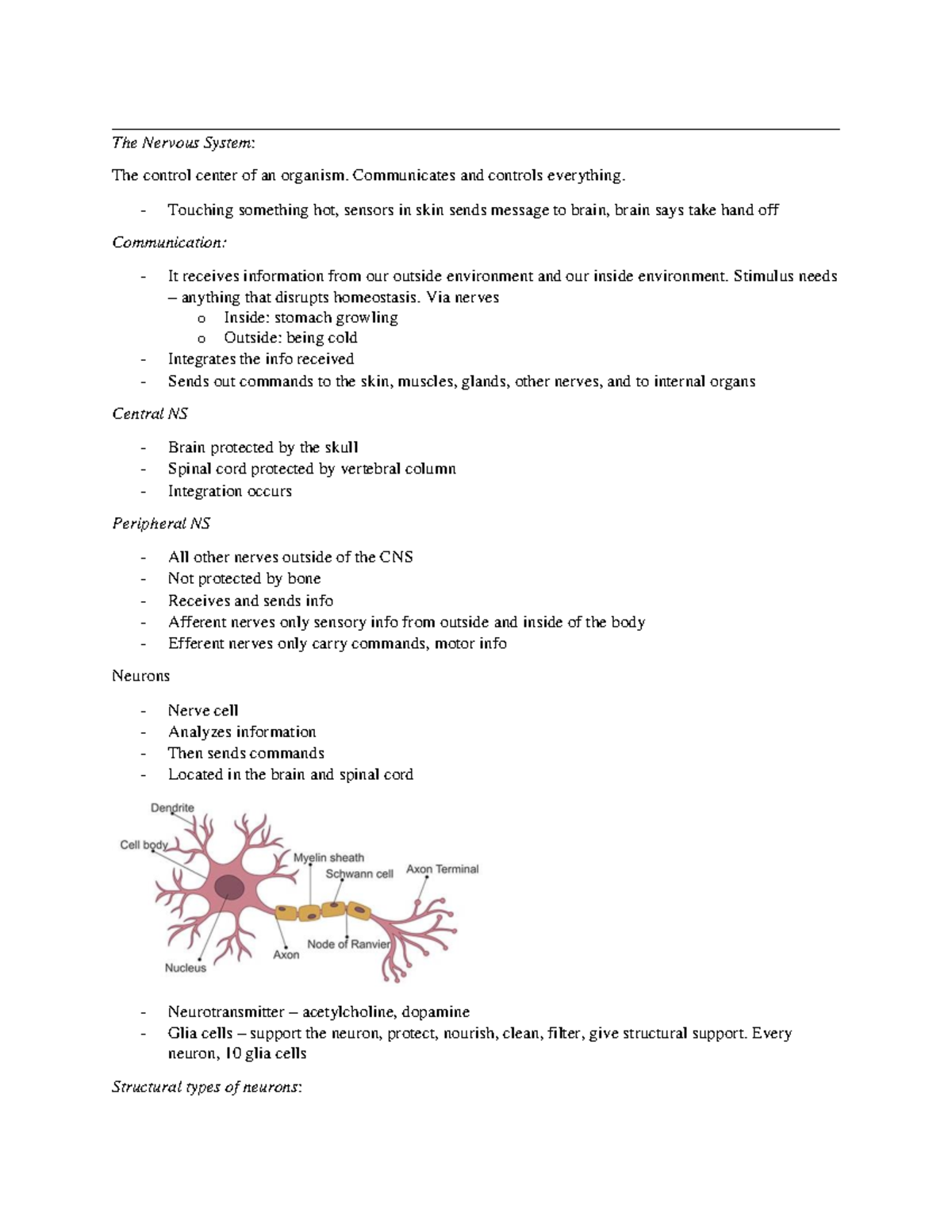 Intro to the Nervous System - - Studocu