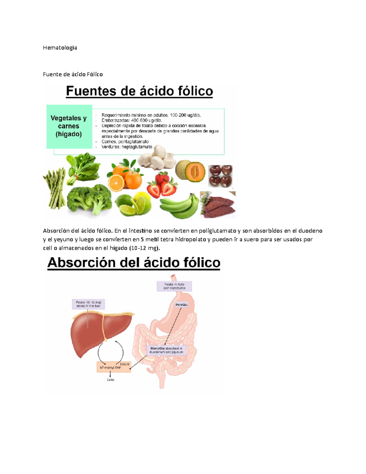 Clase 5 Hemato. Anemias - Hematología Fuente de ácido Fólico Absorción ...