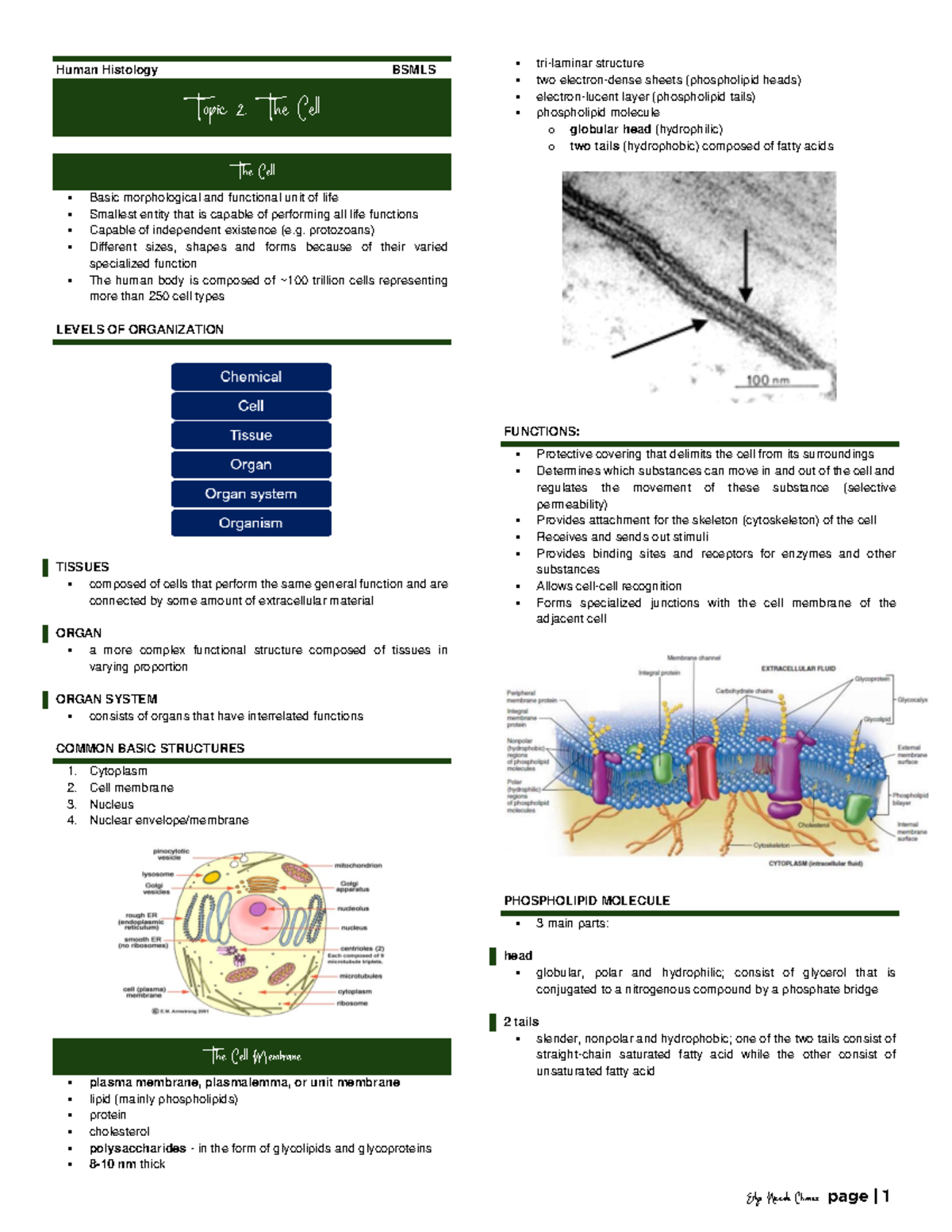 2 The Cell - The cell - Human Histology BSMLS Topic 2. The Cell The ...