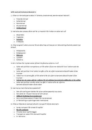 Anatomisk terminologi - ANATOMISK TERMINOLOGI Kroppens olika plan ...