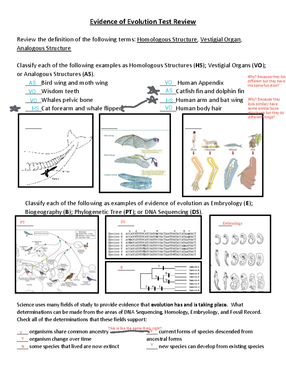 2017 Evidence of Evol Test Review - Evidence of Evolution Test Review ...