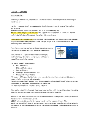 Lower limb - clinical anatomy - LOWER LIMB – Consists of the gluteus ...
