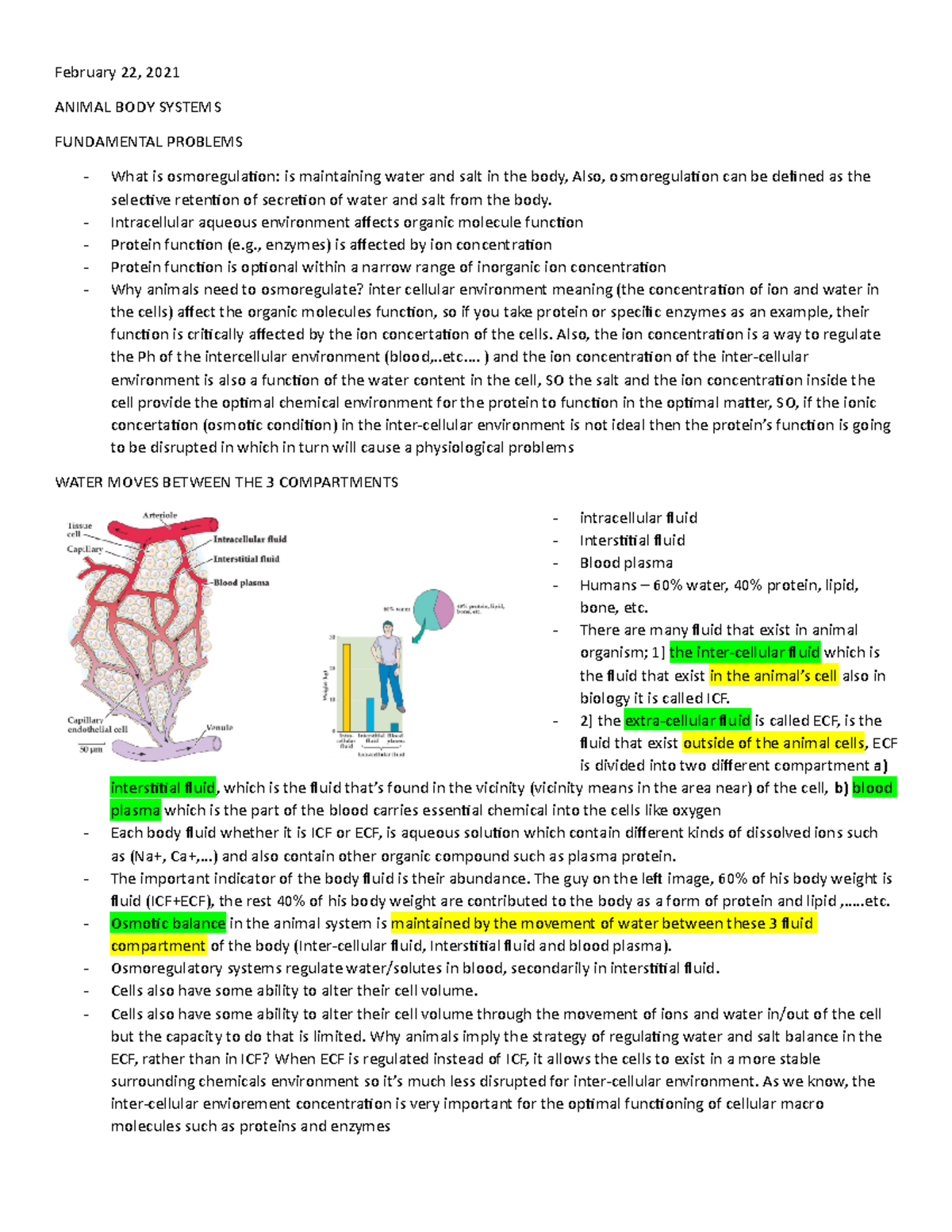 Lectures Compilation - After Midterm 1 - February 22, 2021 ANIMAL BODY ...