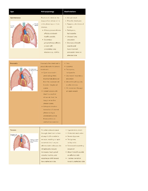 Peds Cheat Sheet - Overview of Pediatric Communicable Diseases test ...