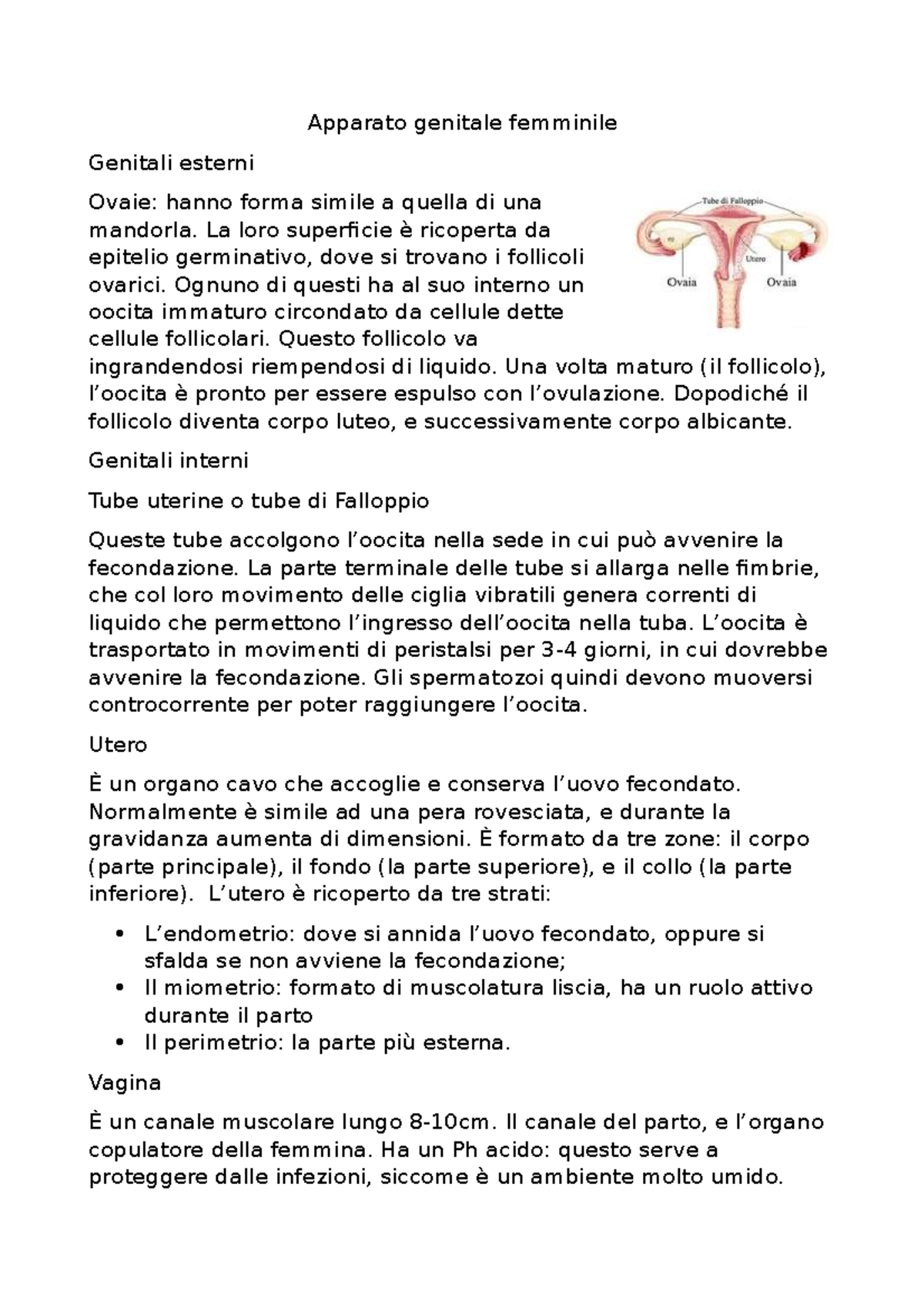 Apparato-genitale-femminile - Apparato genitale femminile Genitali ...