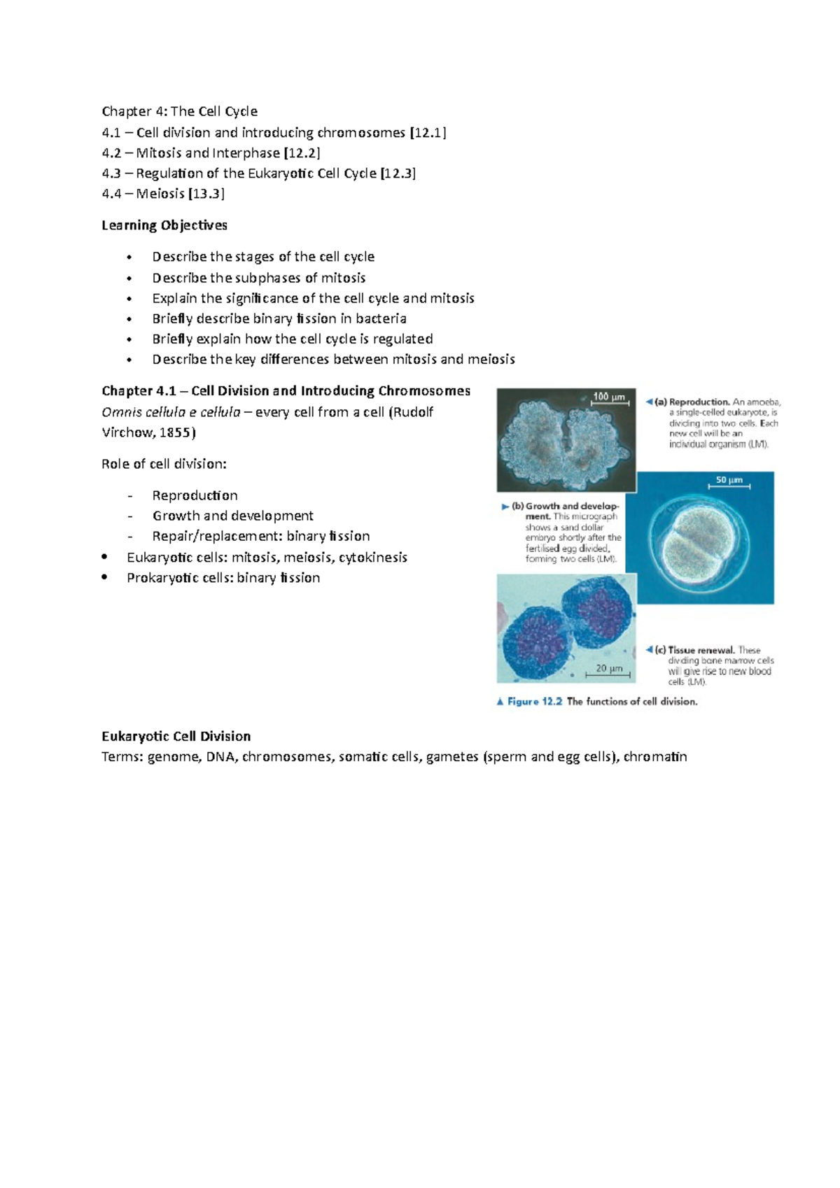 LFS100 - CH4 - Lecture notes 4 - Chapter 4: The Cell Cycle 4 – Cell ...