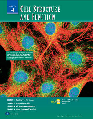 Propedeutics of Internal Diseases - First Part - PROPEDEUTICS OF ...