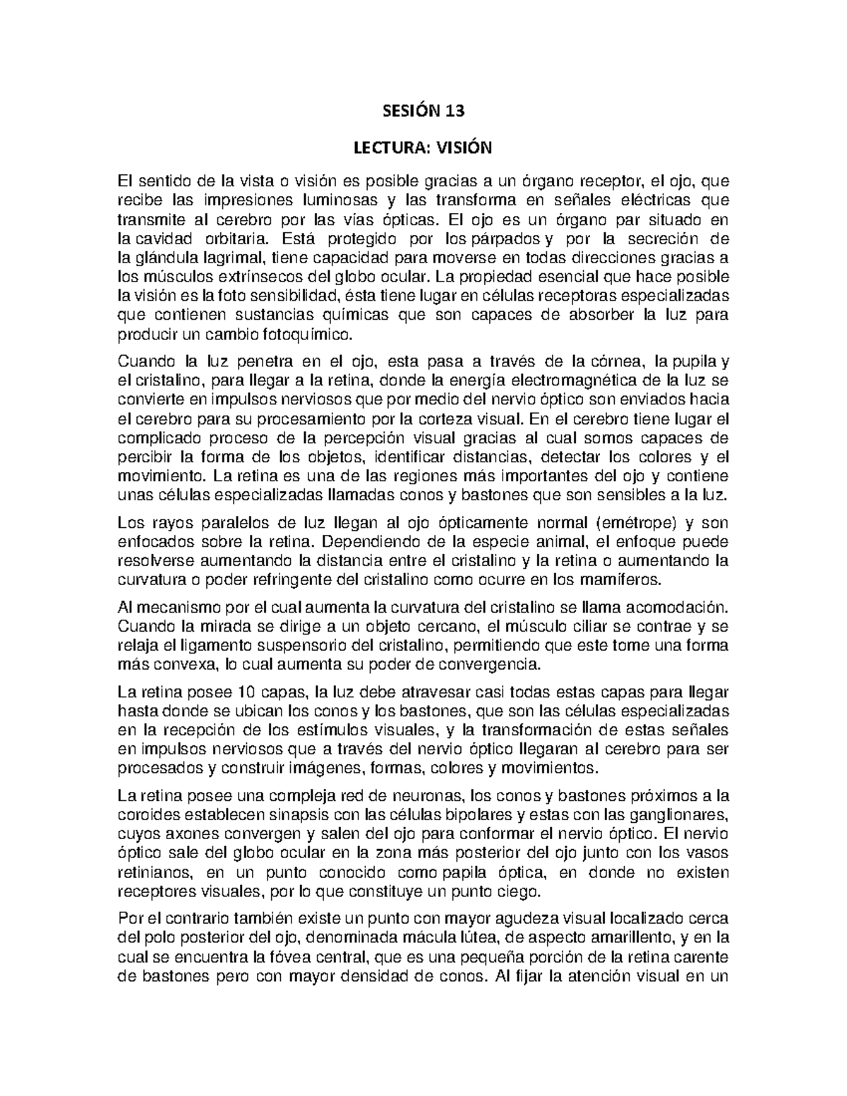 Lectura - Documentos - SESI”N 13 LECTURA: VISI”N El sentido de la vista o visión es posible ...