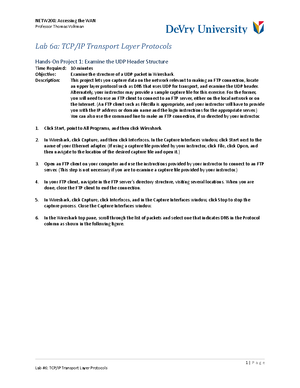 NETW208 Transport Layer Protocol Lab Assignment Solution - NETW208: Accessing to WAN Professor ...