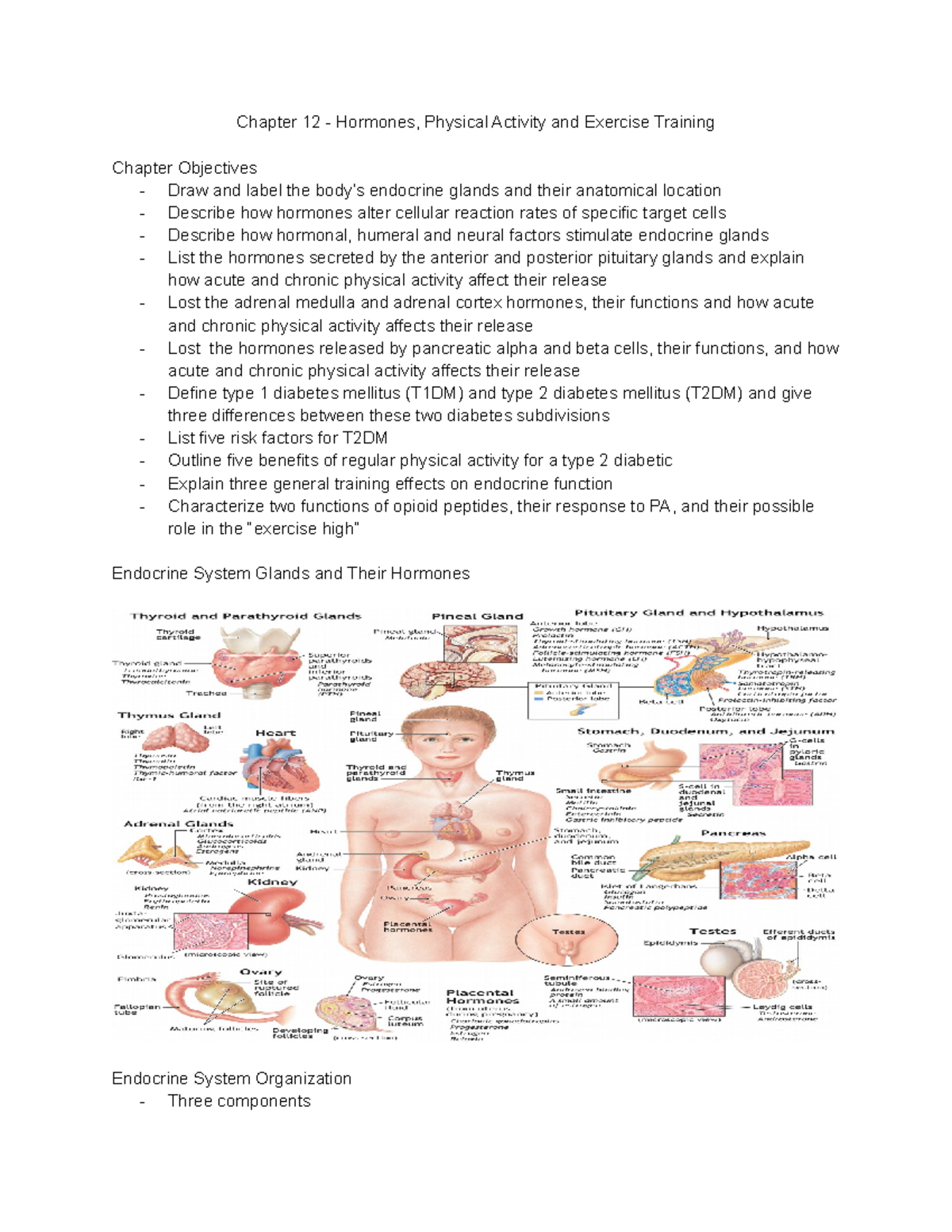 Chapter 12 - Hormones, Physical Activity and Exercise Training ...