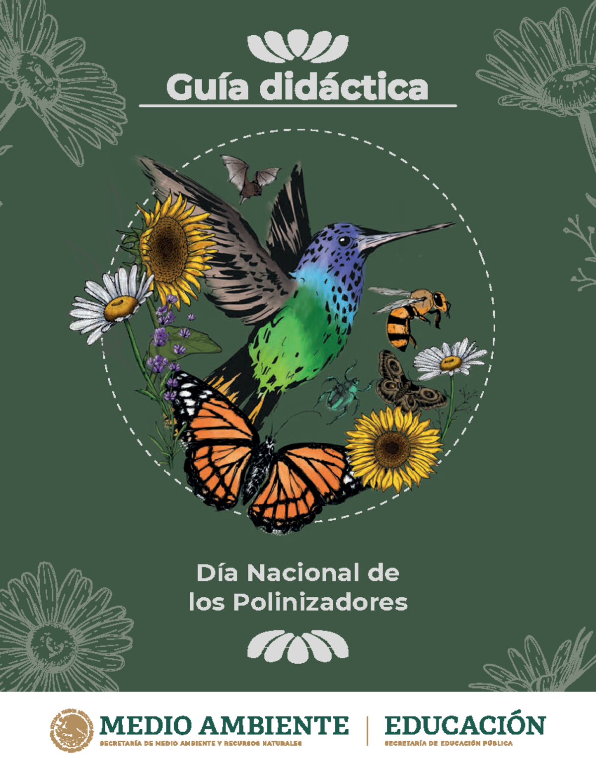 GUIA didactica Dia Nacional Polinizadores 2023 - Día Nacional de los ...