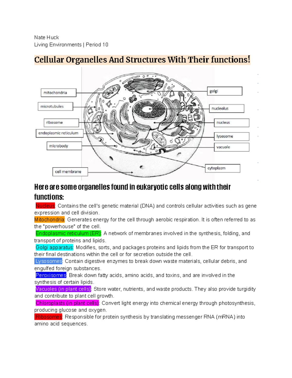 Living Environment - Cell Functions - Nate Huck Living Environments ...