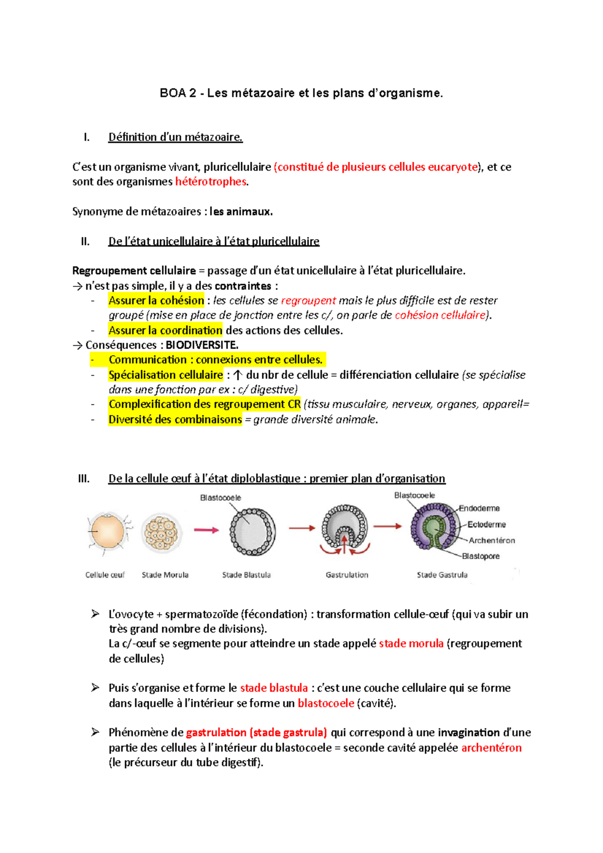 Boa 2 - métazoaire - boa - BOA 2 - Les métazoaire et les plans d ...
