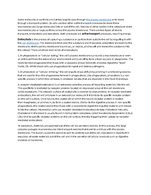 Module 7 Answer Sheet - MODULE 7 DIGESTIVE AND RESPIRATORY SYSTEMS ______ 40 Student’s Name: S ...