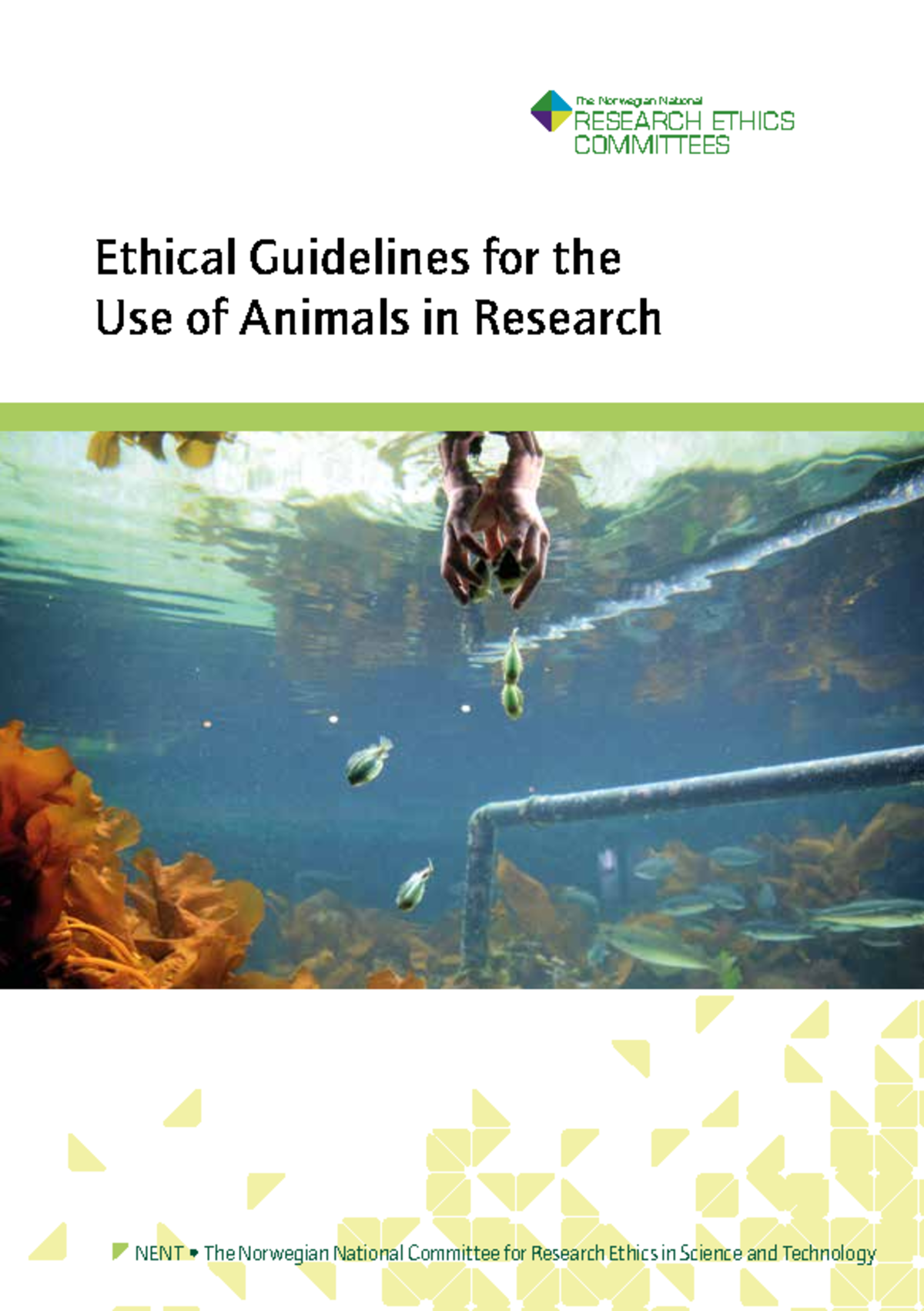 Ethical guidelines for the use of animals in research - Ethical ...