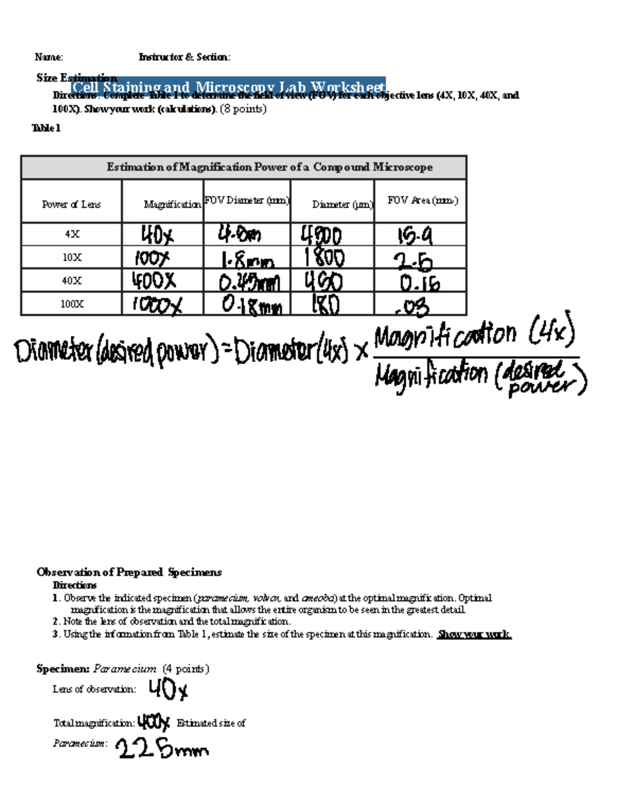 Cell Staining and Microscopy Worksheet - Name: Instructor & Section ...