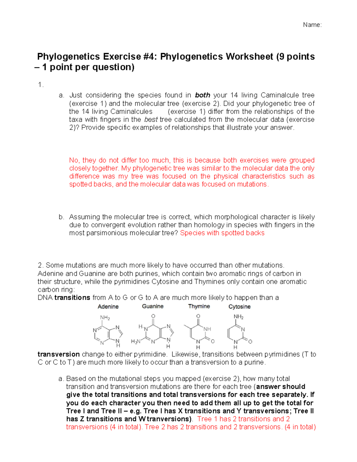 Classification AND Evolution - Phylogenetics Exercise #4: Phylogenetics ...