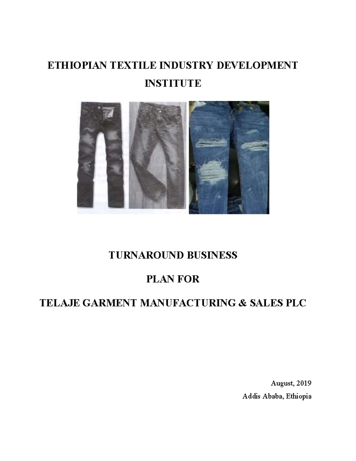 Business plan assignment - ETHIOPIAN TEXTILE INDUSTRY DEVELOPMENT ...