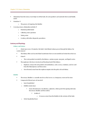 Fluid Electrolyte Acid Base Prep U Quiz - Fluid/Electrolyte and Acid ...