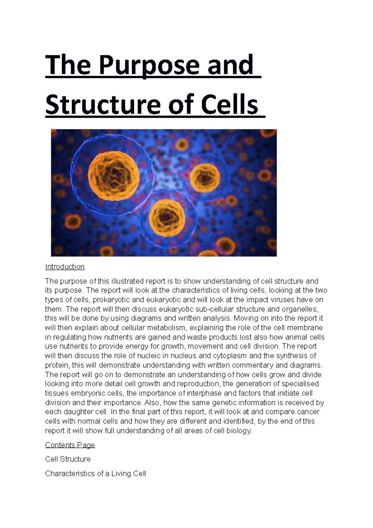 Cell biology assignment - The Purpose and Structure of Cells ...