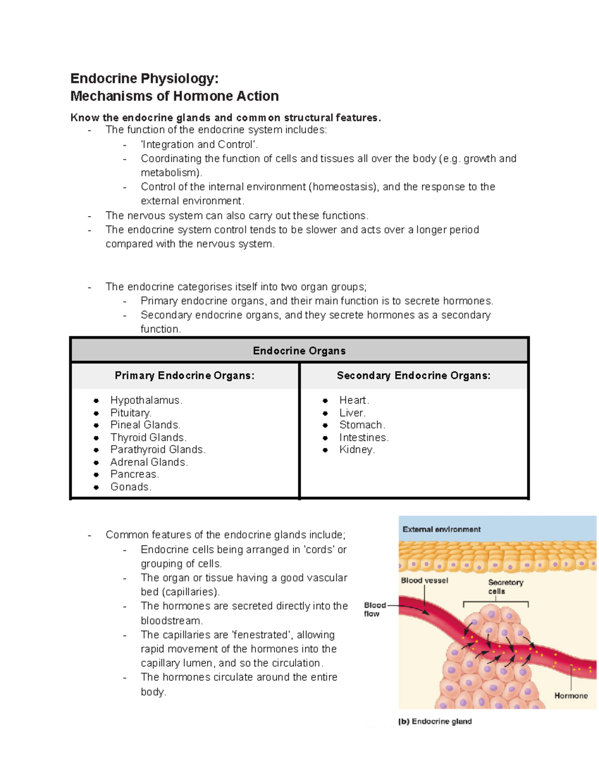 Endocrine Physiology - e-book lecture notes and tutorials - Endocrine ...